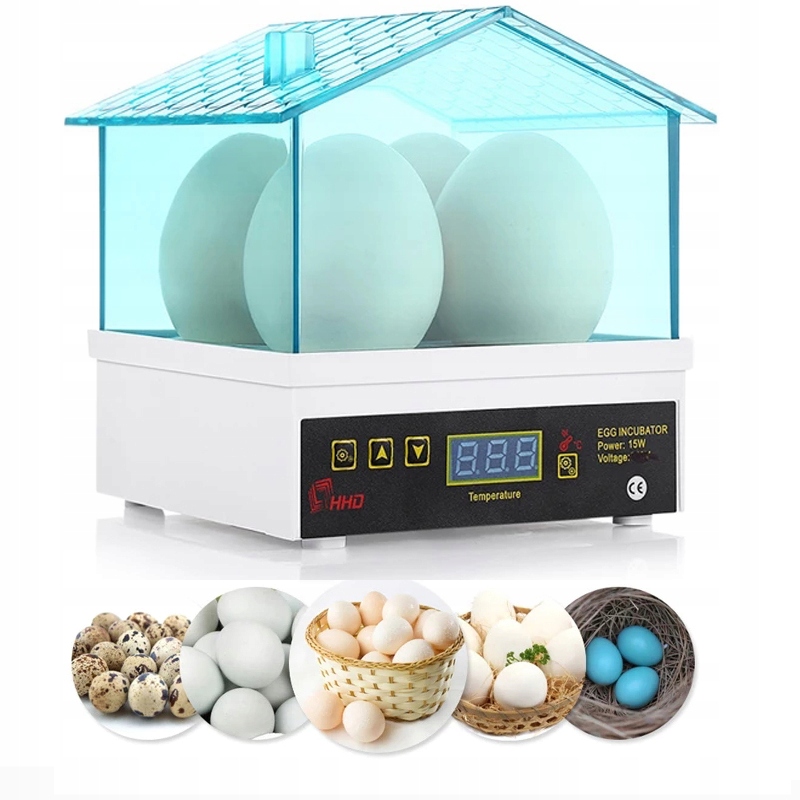 MINI INKUBATOR AUTOMATYCZNA DO WYLĘGU JAJ - 11025859601 - oficjalne ...