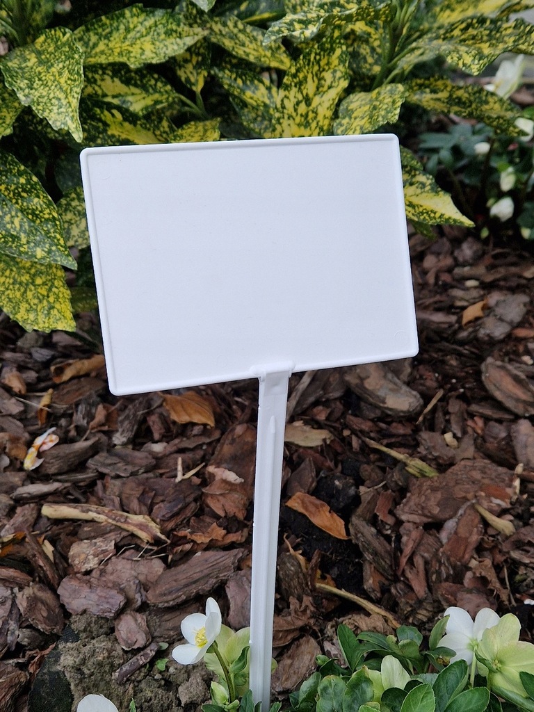 Tabliczka stojąca biały 15 x 50 cm 10 szt. - 13957824090 - oficjalne ... Tabliczka stojąca biały 15 x 50 cm 10 szt. - 13957824090 - oficjalne ...