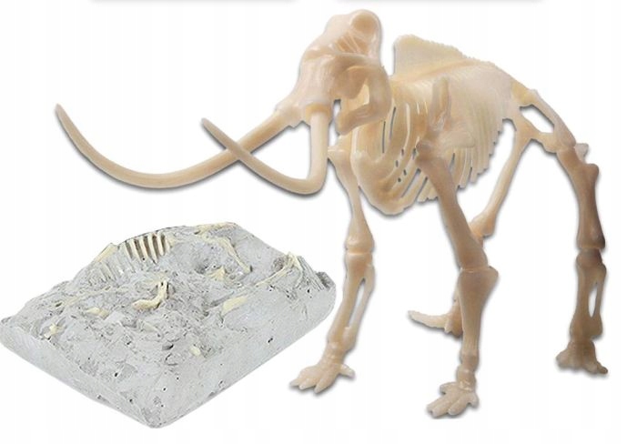SKAMIENIAŁOŚCI MAMUT MAMUTA SZKIELET KOŚCI ZESTAW - 8446659739 ...