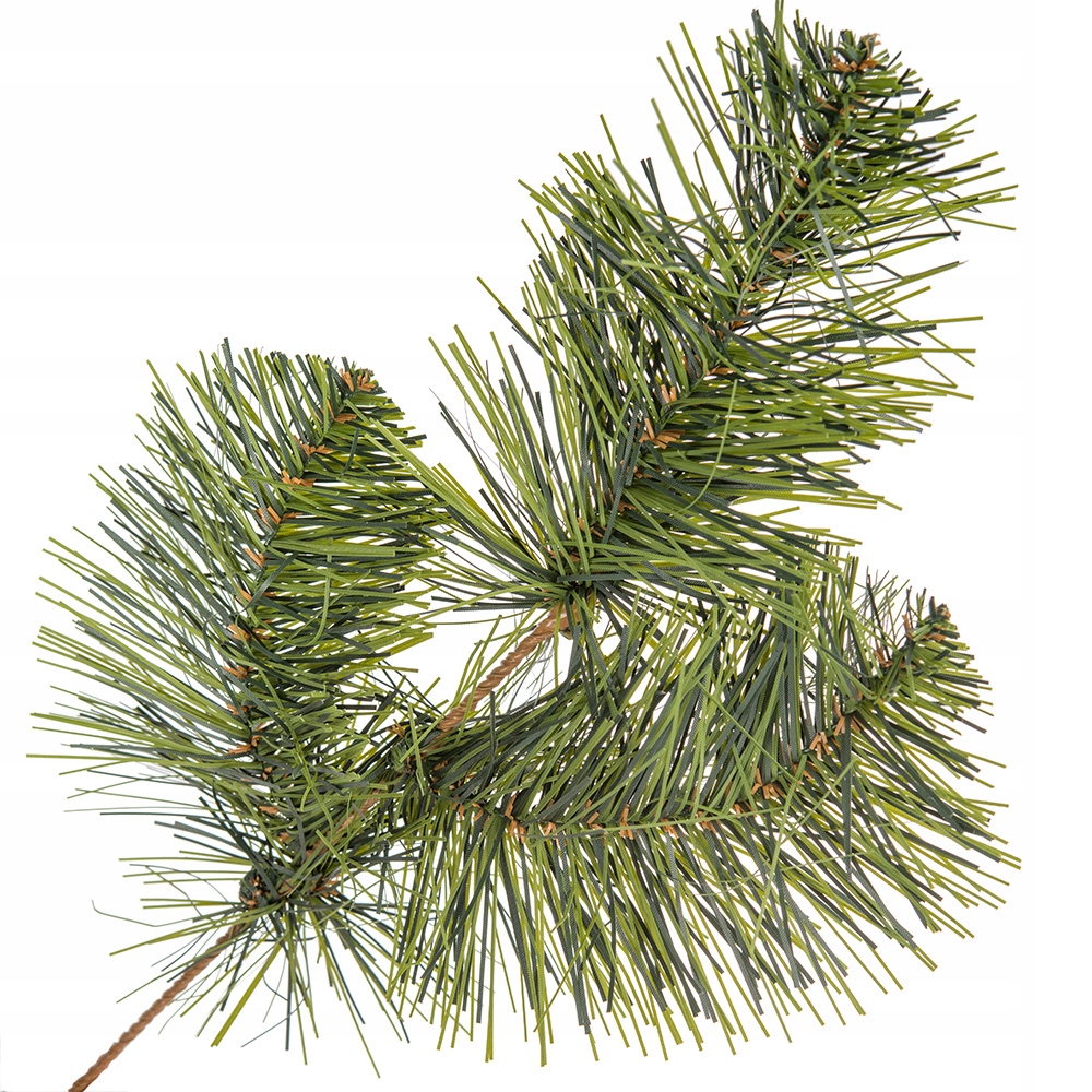 Świerk Gałązki Świerkowe Gałązka Świerku Na Stroik - 12961657278 ...