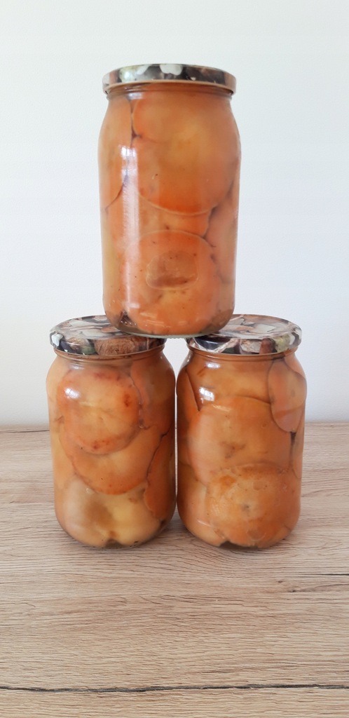 Mleczaj Rydz - rydze w solance. Atest 2022r. - 12824018141 - oficjalne ...