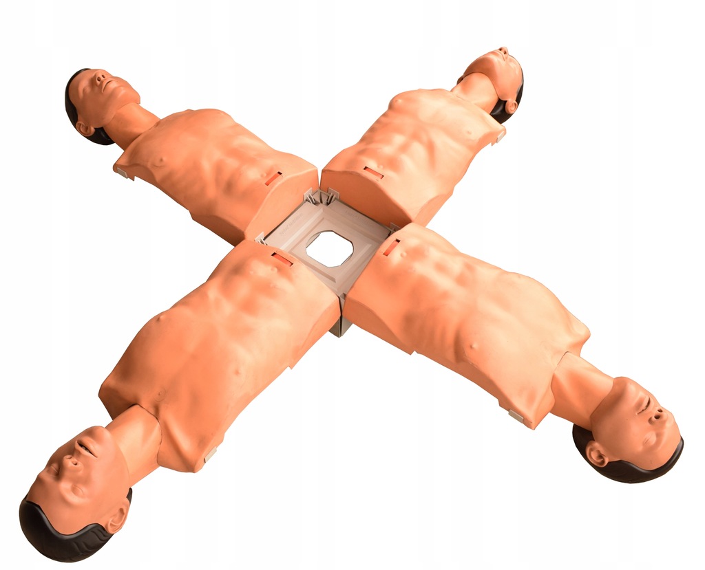 fantom ambu multiman do nauki resuscytacji - 8405779659 - oficjalne archiwum Allegro