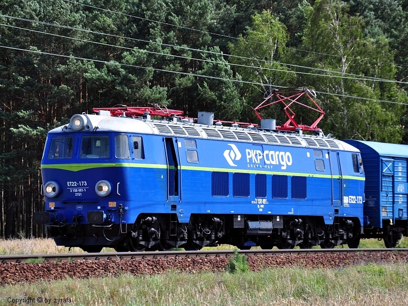 Elektrowóz ET 22-243 PKP Cargo ho 1:87 Piko 96334 - 8548998524 - oficjalne archiwum Allegro