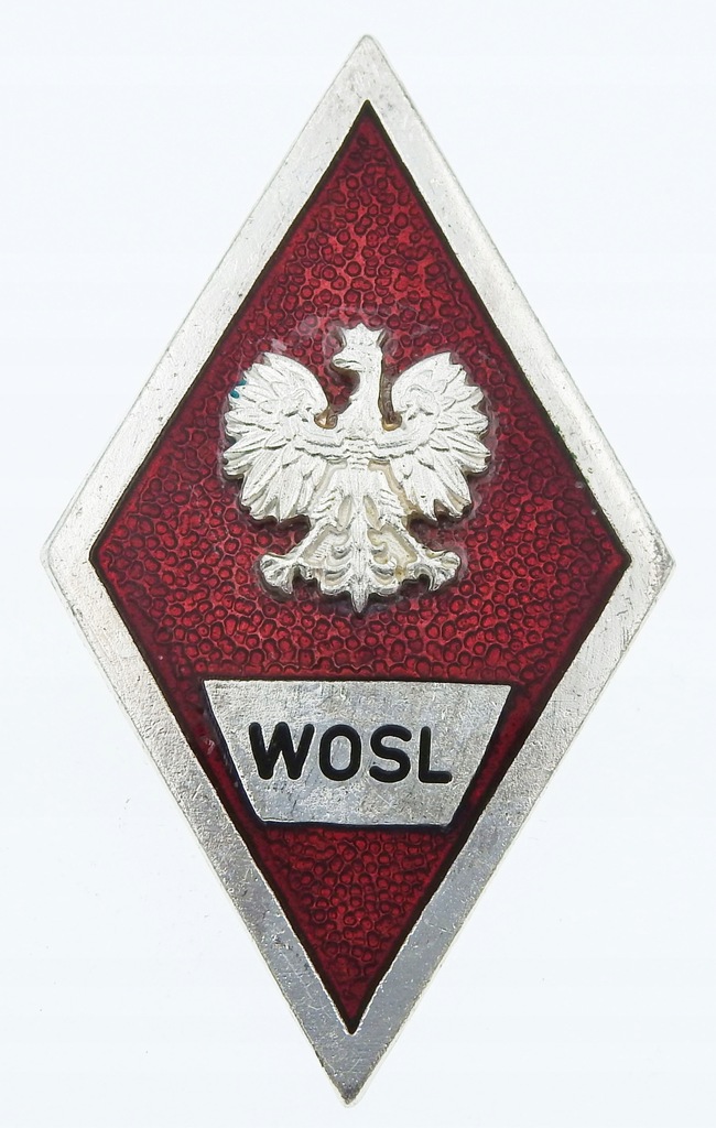 Absolwentka WOSL wz.89 ( lata 1989-1990) - 12589975986 - oficjalne ...