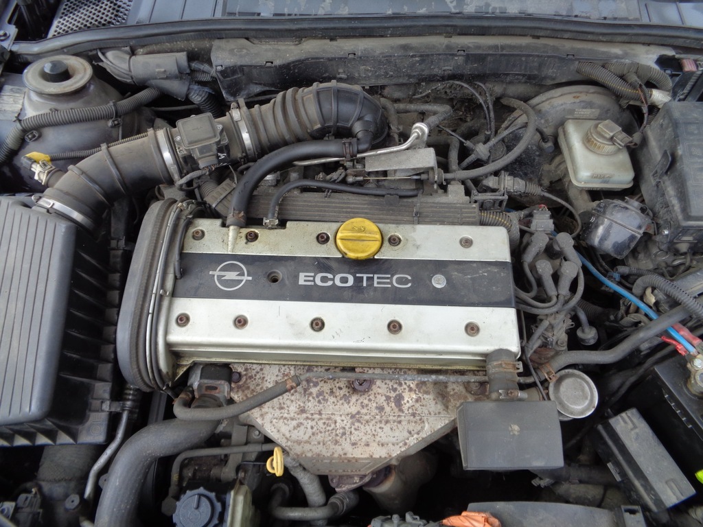 SILNIK X18XE 1.8 16V 115KM OPEL VECTRA B odpala - 7220092020 ...