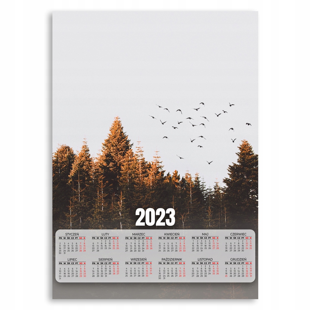 KALENDARZ 2023 PLAKATOWY 50x70 KLUCZ PTAKÓW WZORY - 12593806652 - oficjalne archiwum Allegro