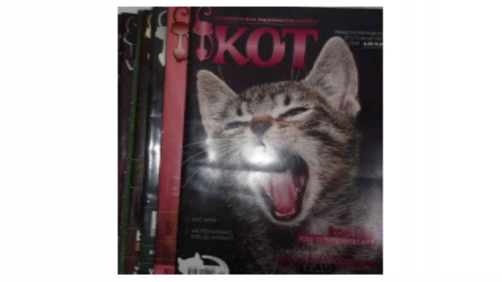 Kot magazyn dla miłośników kotów nr 1-12/2005 - 11085754054 - oficjalne archiwum Allegro