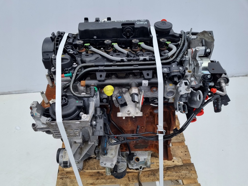 SILNIK KOMPLET Ford Edge II 2.0 TDCI BI TURBO T9CA - 10640502604 ...