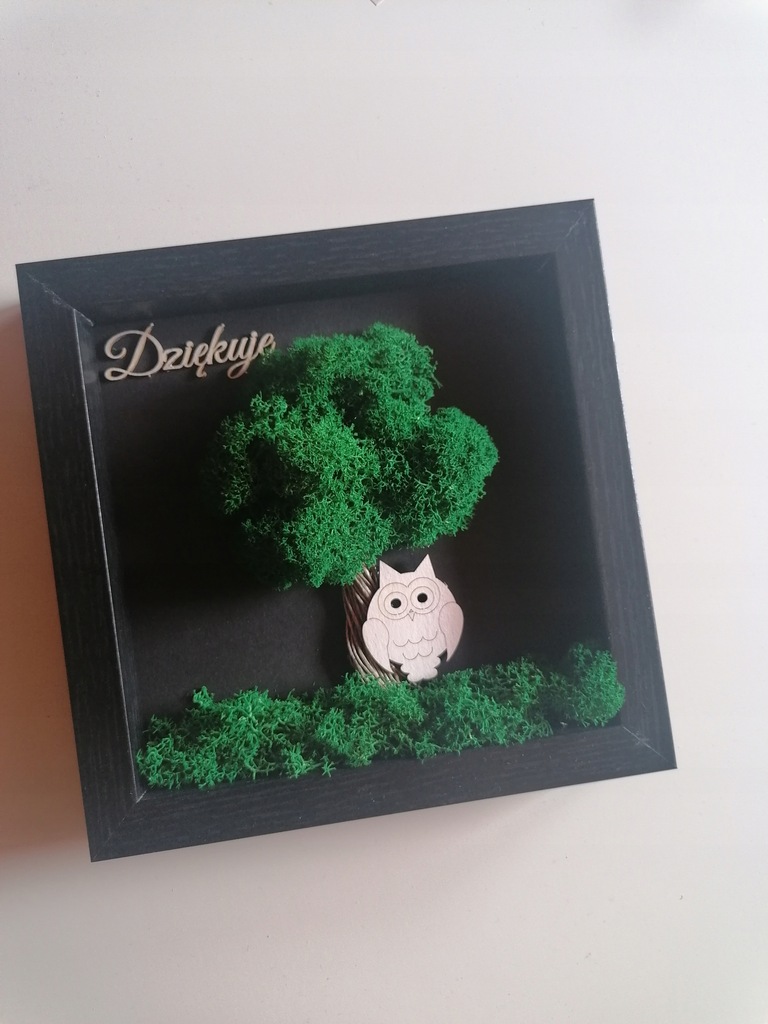 Prezent dla nauczyciela pamiątka ramka z mchem - 10835017120 - oficjalne archiwum Allegro