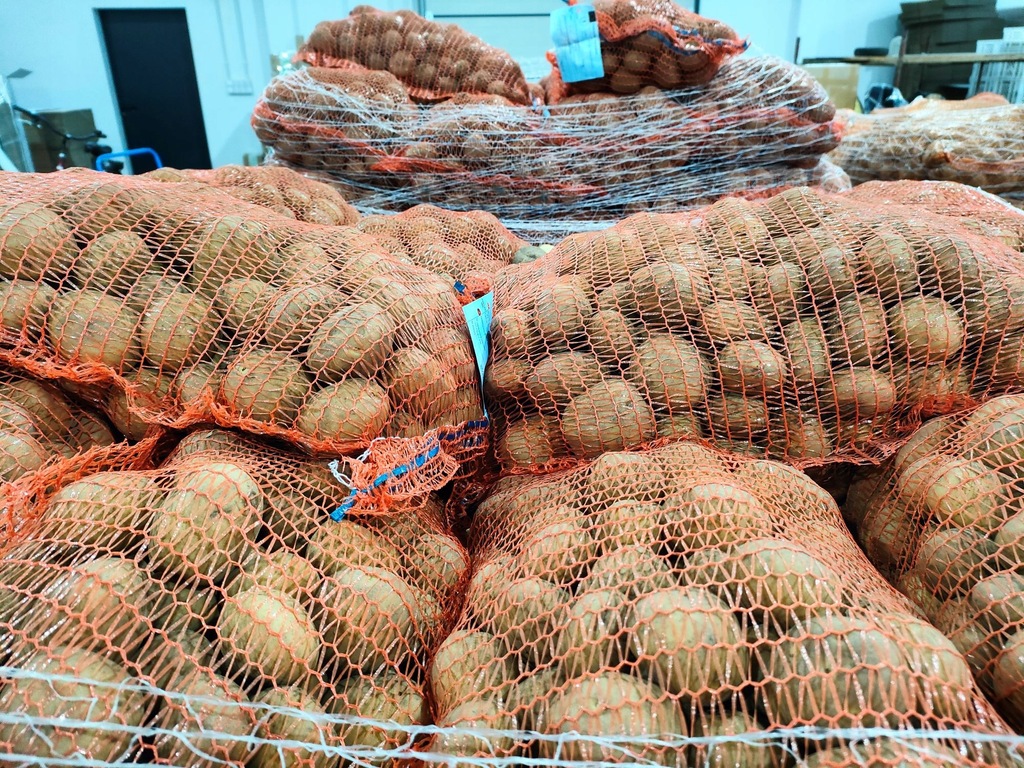 BRYZA Ziemniaki do SADZENIA 10kg paszport POLSKI - 13203559218 - oficjalne archiwum Allegro