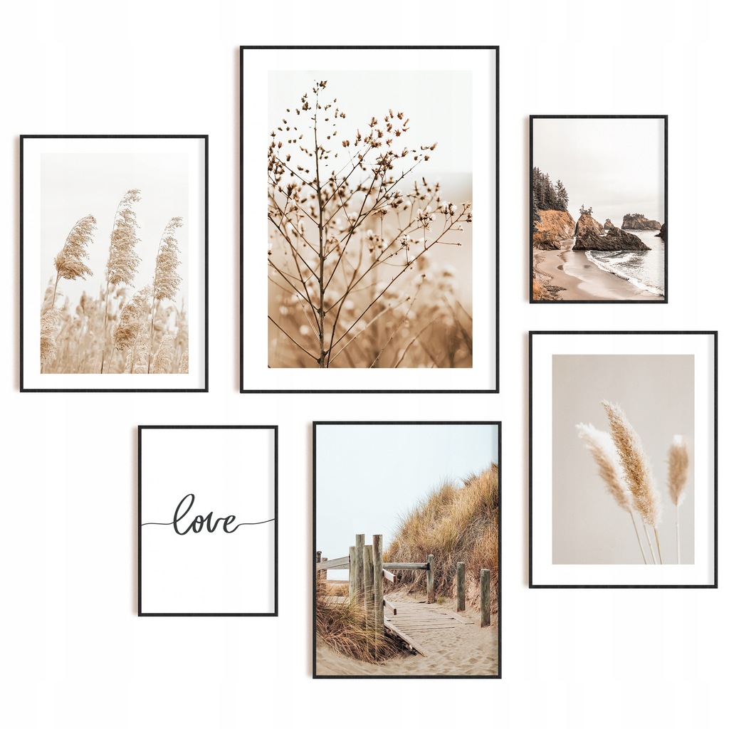 6x OBRAZ PLAKATY BOHO TRAWA PAMPAS PLAKAT OBRAZY - 12859768645 ...