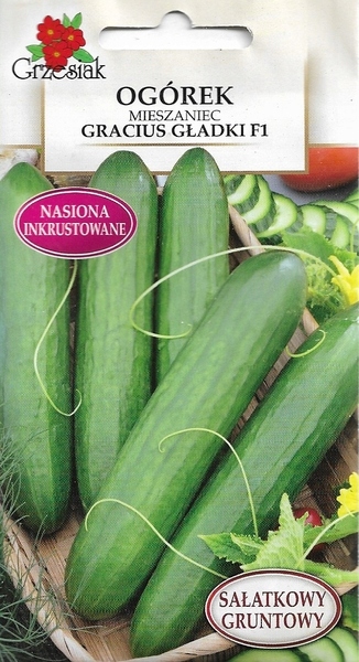 Ogórek sałatkowy GRACIUS GŁADKI F1 nasiona - 13111276954 - oficjalne ...