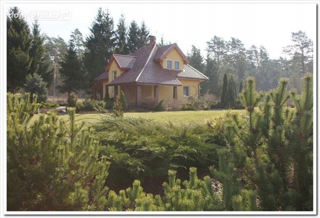 Dom, Wierzbiny, Orzysz (gm.), Piski (pow.), 97 m² - 9885199025 ...