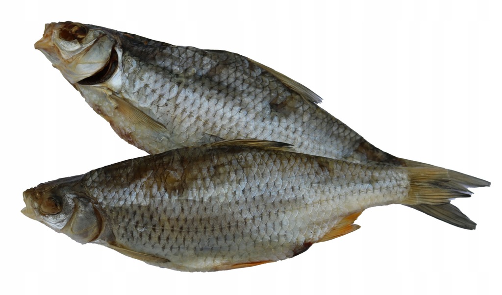 RYBA SUSZONA DO PIWA Wobła 1000+/-10g - 12688288721 - oficjalne ...