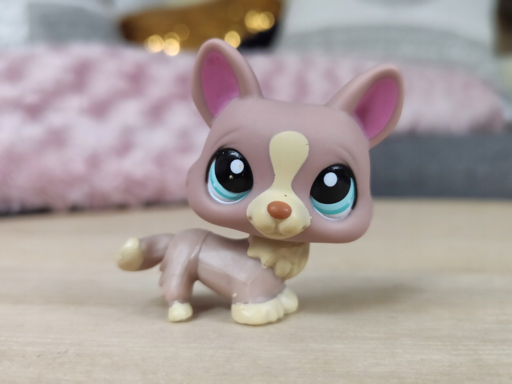LPS Littlest Pet Shop pies piesek corgi #1158 - 11311292029 - oficjalne ...