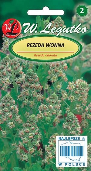 Rezeda wonna czerwonozielona 2g - 12796024871 - oficjalne archiwum Allegro