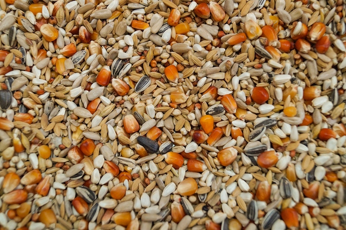 Karma Faza 3, energetyczna 20kg, Gold Wings lotowa - 13291819423 ...