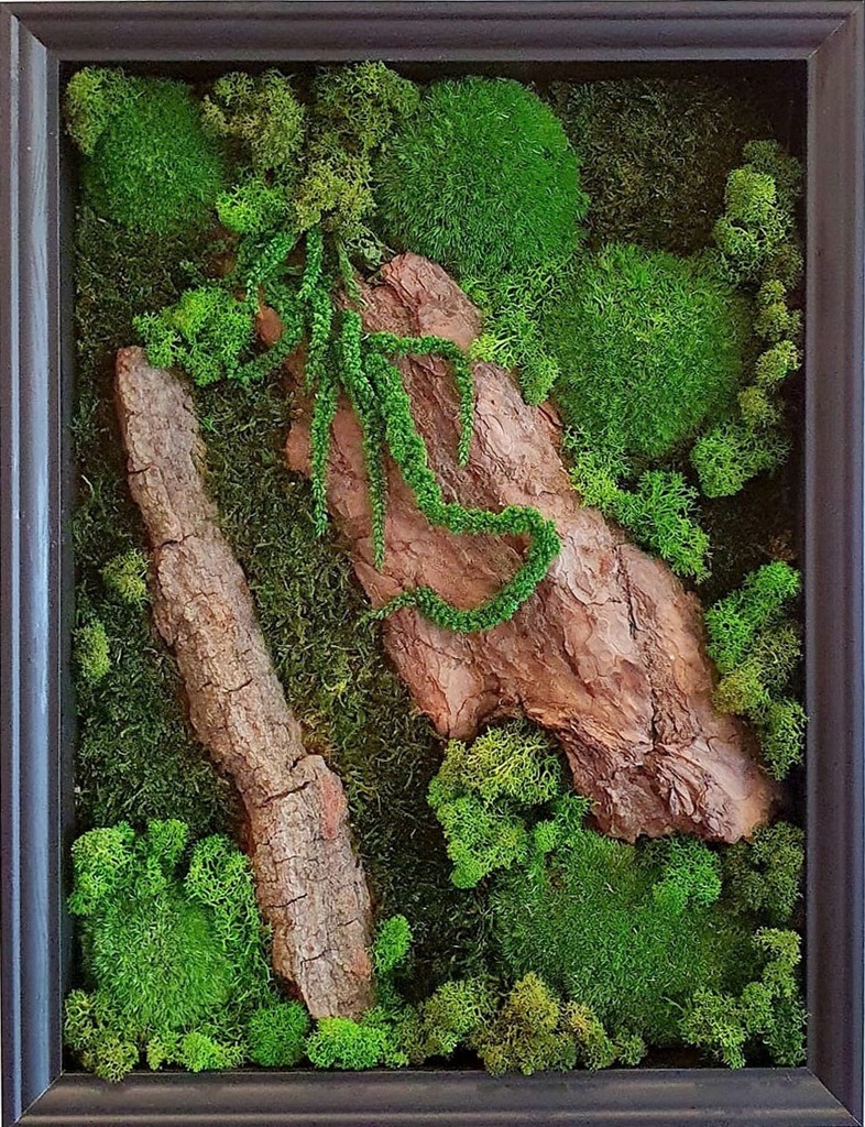 MECH ŻYWY OBRAZ DEKORACJA Z MCHU LAS PREZENT - 12179275055 - oficjalne ...