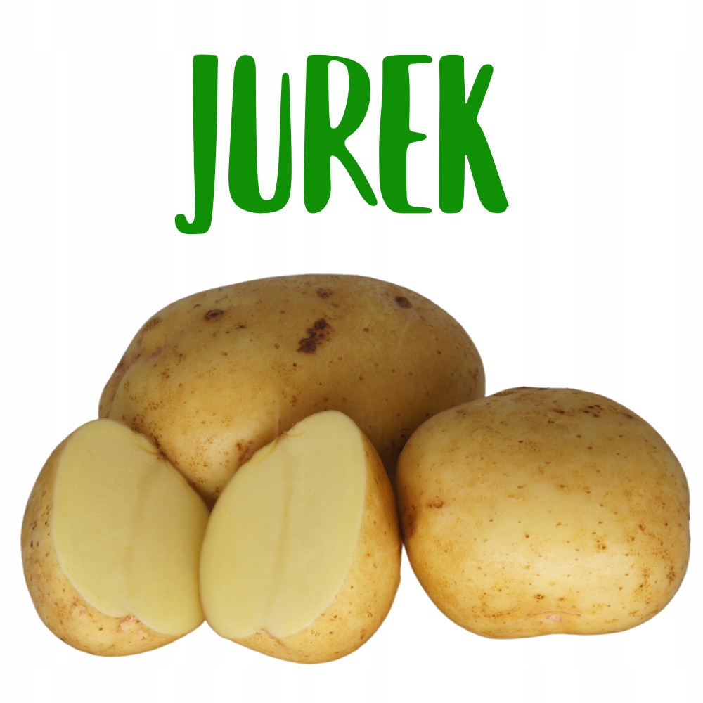Ziemniaki JUREK PLENNE Polskie Sadzeniaki 10kg - 13322679582 ...