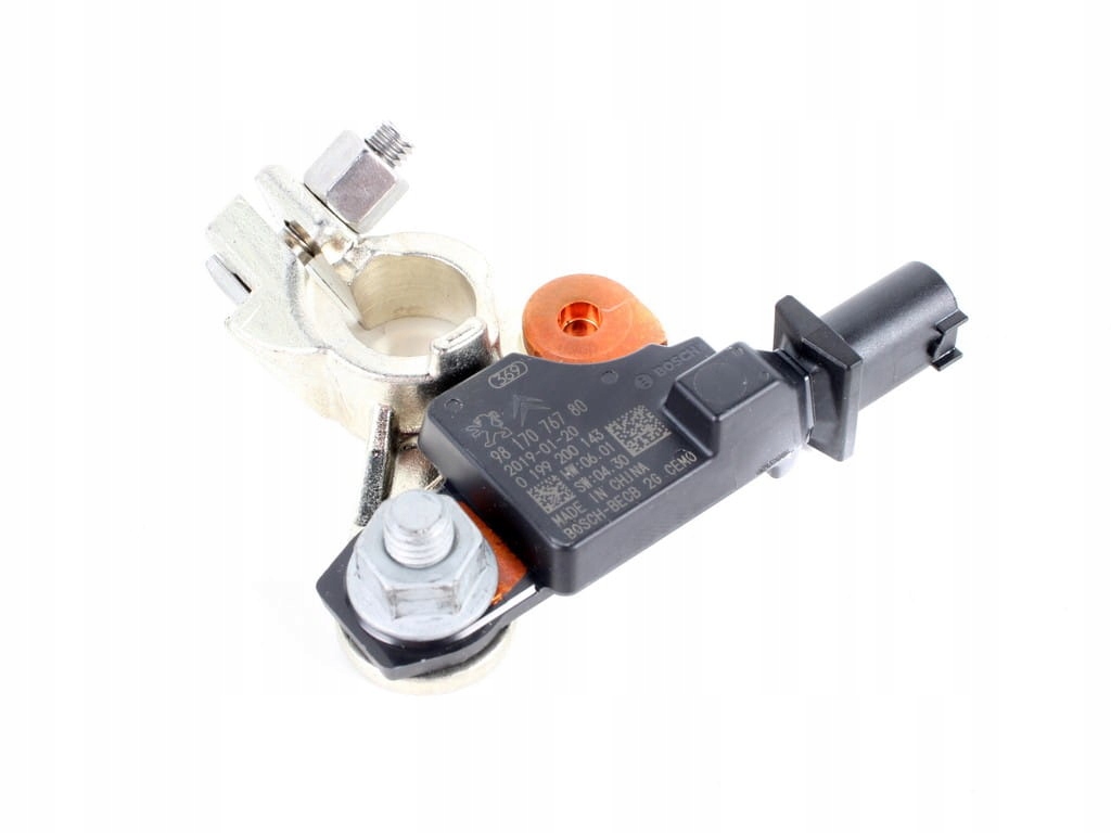 KLEMA MINUSOWA BEZPIECZNIK PEUGEOT 407 508 - 13390723936 - oficjalne ...