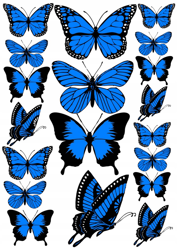 OPŁATEK NIEBIESKI MOTYL NIEBIESKIE MOTYLE MOTYLKI - 11495231050 ...