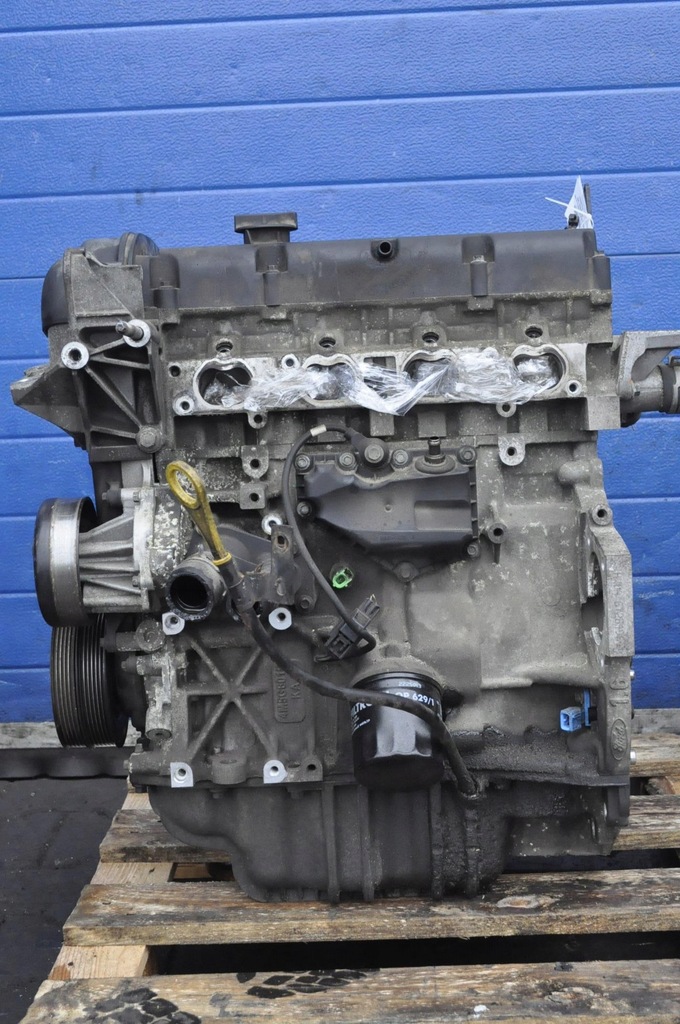 FIESTA MK6 FOCUS MK2 1.6 16V SILNIK HWDA HWDB FYJA - 13208204082 - oficjalne archiwum Allegro