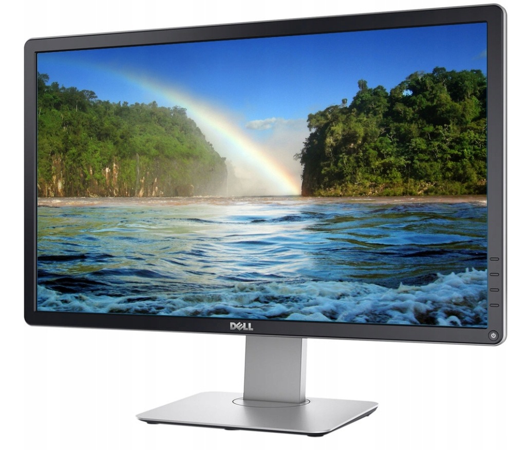 Monitor LED 24'' DELL P2414H IPS DP DVI Full HD - 14404517871 ...