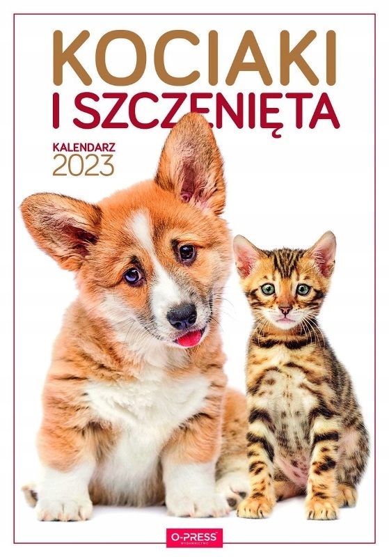 KALENDARZ A3 ŚCIENNY 2023 KOCIAKI I SZCZENIĘTA KOT - 12858981222 - oficjalne archiwum Allegro