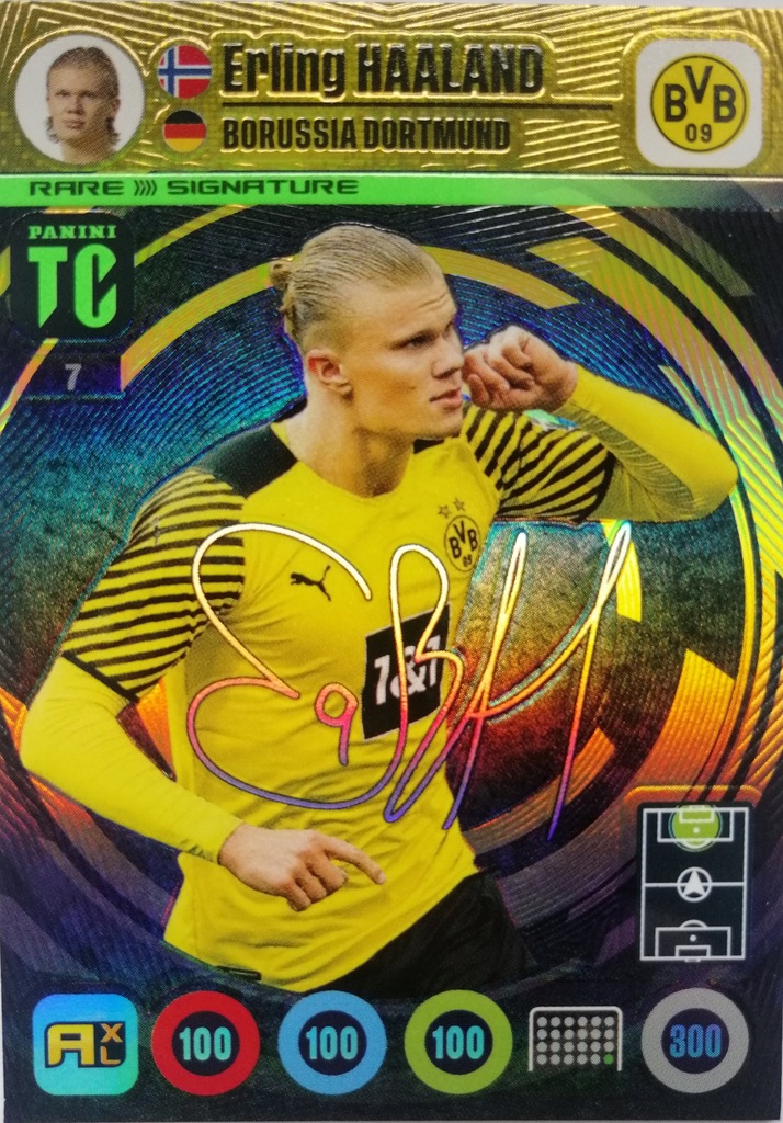 PANINI TOP CLASS RARE SIGNATURE 7 ERLING HAALAND - 13781308876 ...