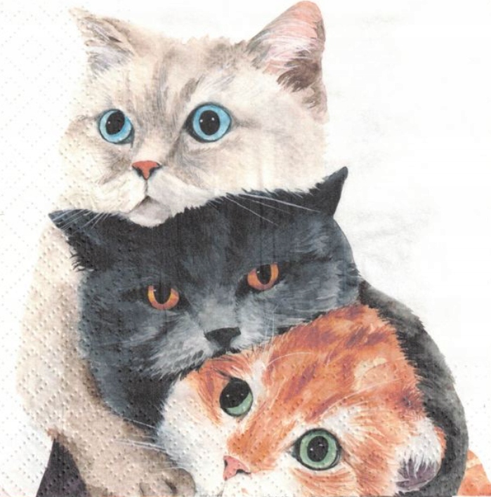 Serwetki papierowe Paw KOTY KOTKI SDL 131500 - 11751097398 - oficjalne ...