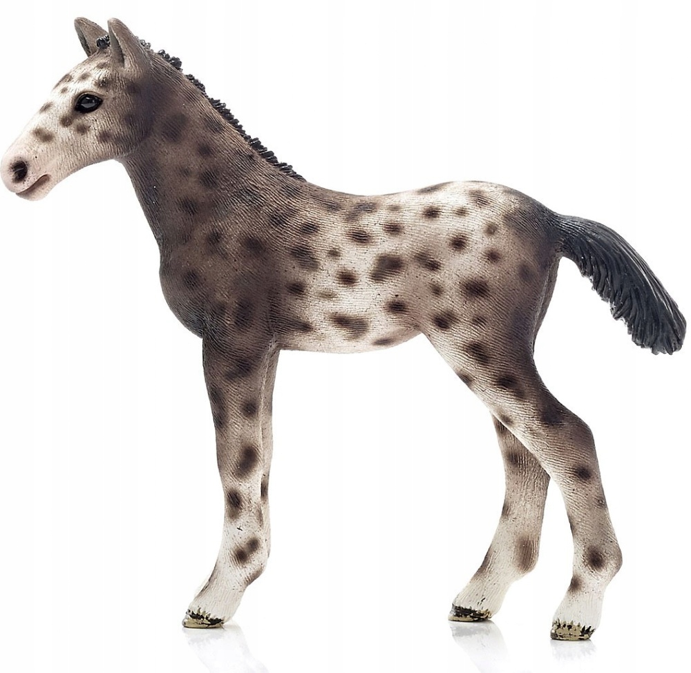 SCHLEICH 13760 KOŃ ŹREBIĘ RASY KNABSTRUPPER - 12394552023 - oficjalne ...