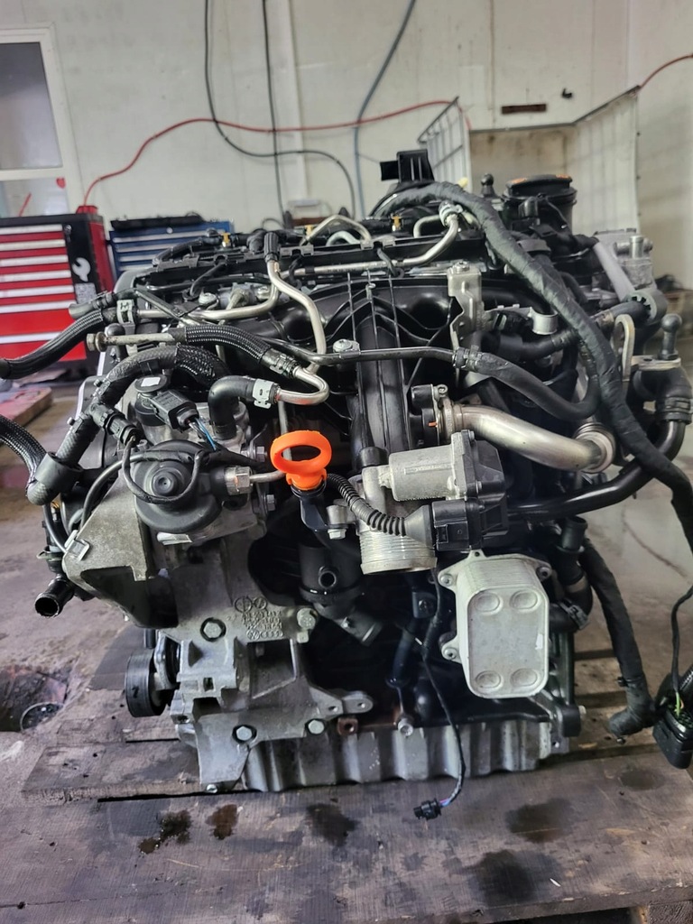 Silnik CFF 2.0 TDI AUDI SEAT SKODA VW komplet - 12459768877 - oficjalne archiwum Allegro