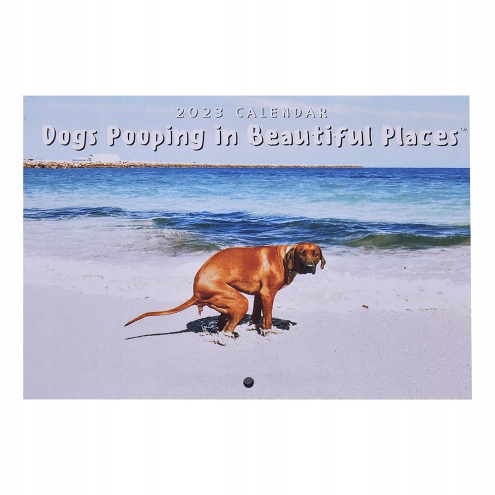 Kalendarz ścienny Psia kupa Zabawny kalendarz psa - 14356219554 ...