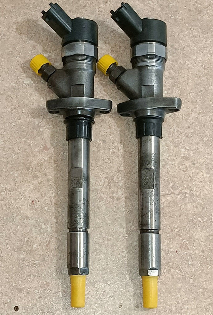 WTRYSK PEUGEOT 2.2 HDI 0445110036 SPRAWDZONE - 13150156764 - oficjalne ...