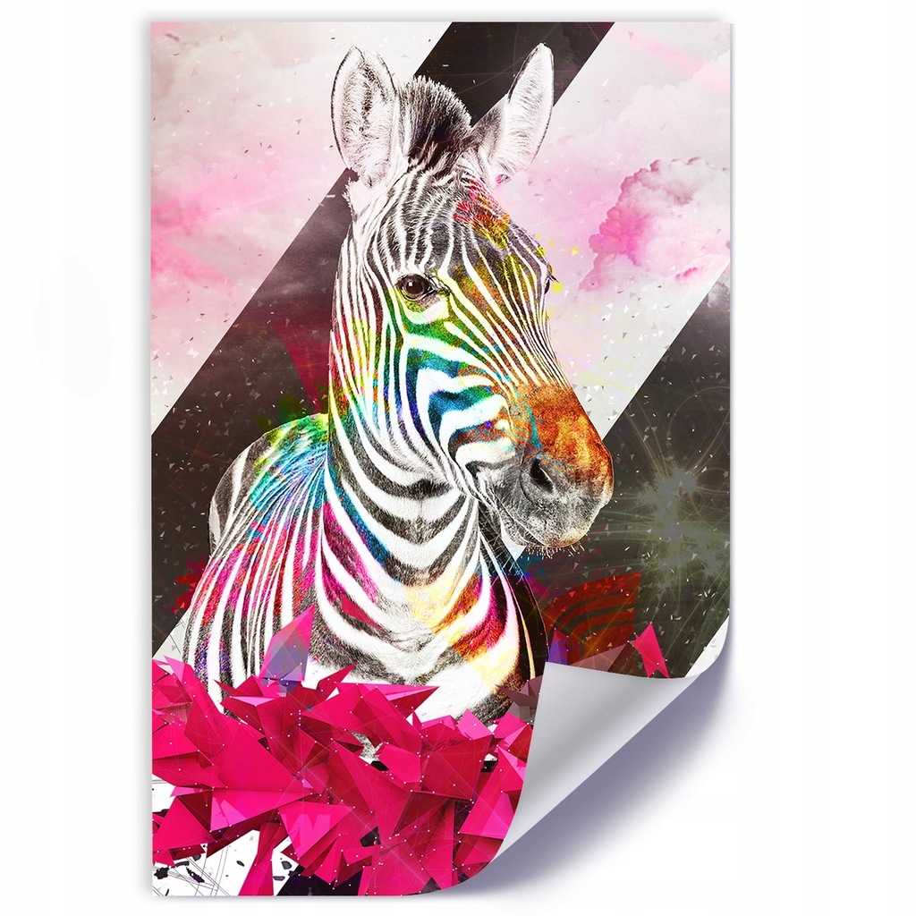 PLAKAT DO SALONU Zebra Abstrakcja Kolorowy 30x45 - 13425105504 - oficjalne archiwum Allegro