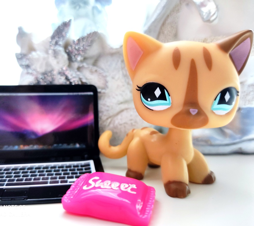 Akcesoria LPS dodatki Littlest Pet Shop LAPTOP 24h - 12908403496 ...