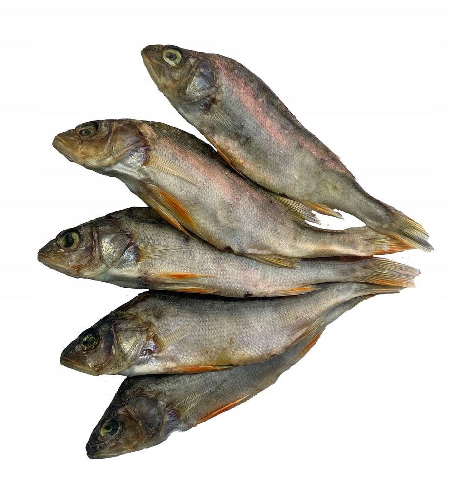 RYBA SUSZONA DO PIWA OKOŃ DROBNY 500+/-10g - 13715174252 - oficjalne ...