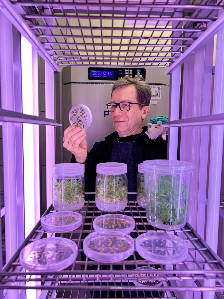 Poznaj WBiB SGGW- spacer z Dziekanem oraz Wbibkiem - 13183270641 - oficjalne archiwum Allegro