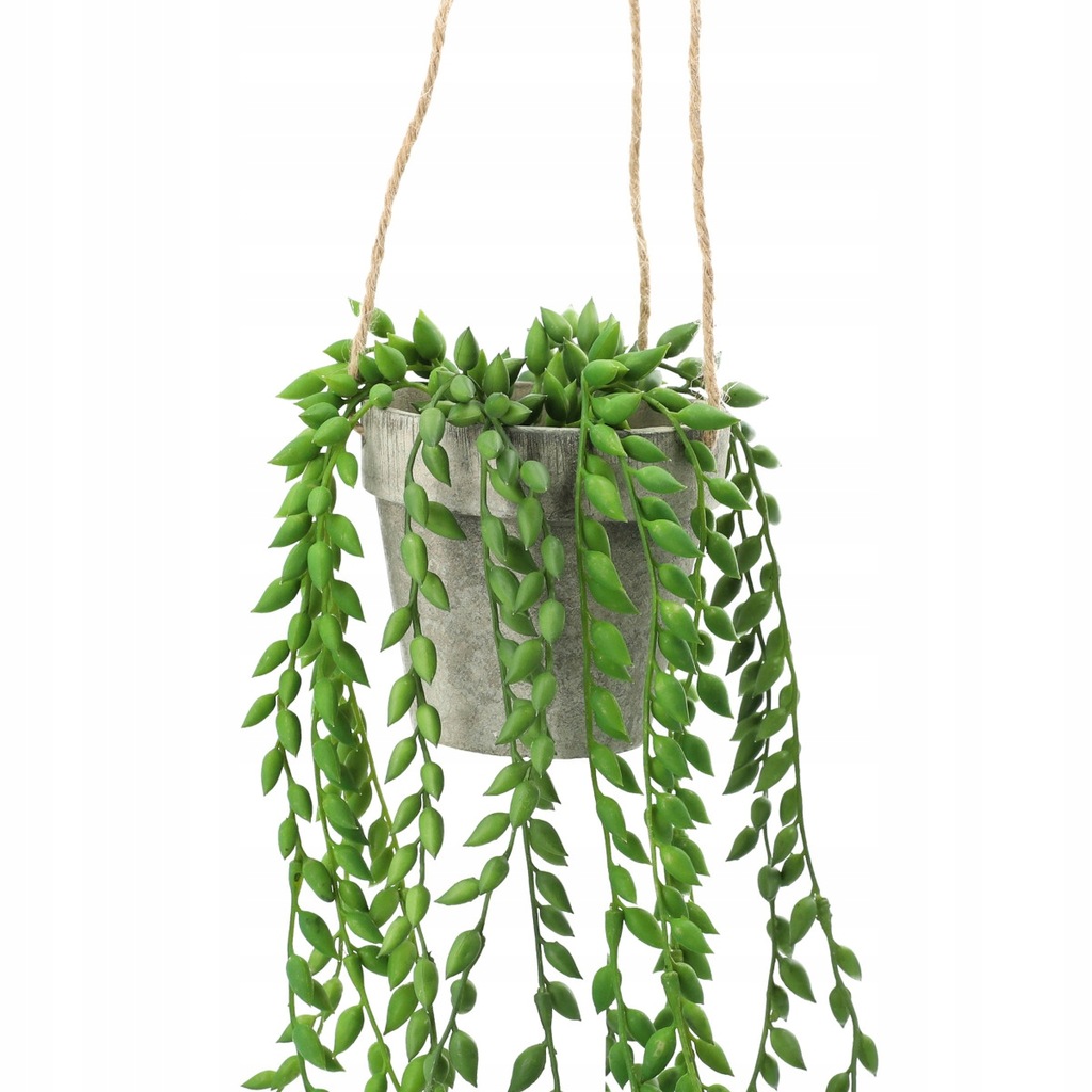 Купить Растение SENCIO FLOWER, искусственное, 10x10x54 см HOMLA: отзывы ...