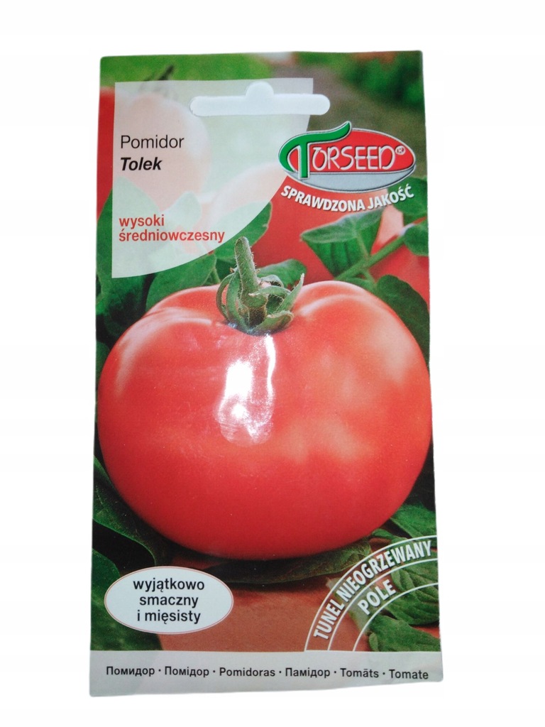 Pomidor gruntowy wysoki TOLEK TORSEED - 10453937454 - oficjalne ...