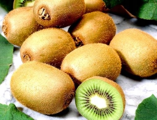 KIWI Aktinidia smakowita ATLAS zapylacz DUŻE OWOCE C3 - 12888519197 - oficjalne archiwum Allegro