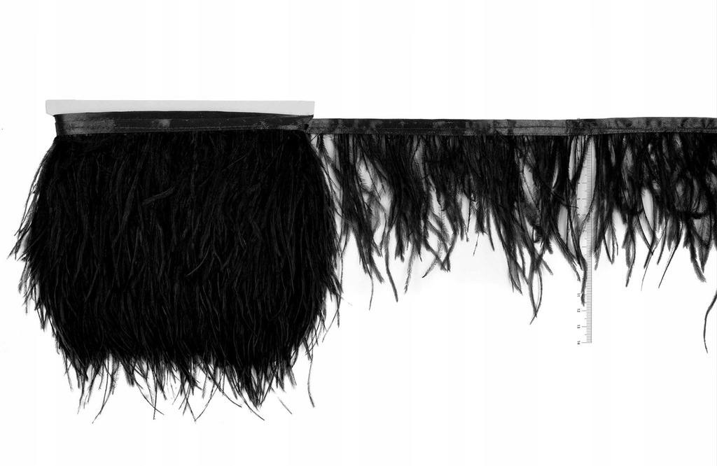 STRUSIE PIÓRA NA TAŚMIE CZARNE 10MB PREMIUM HURT - 14843267416 ...