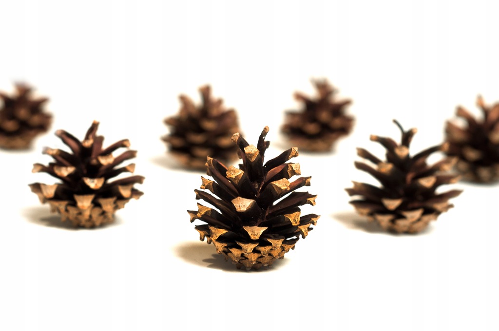 Купить Рождественская елка искусственная на пне ель итальянская 100% PE 2.20: отзывы, фото и ...