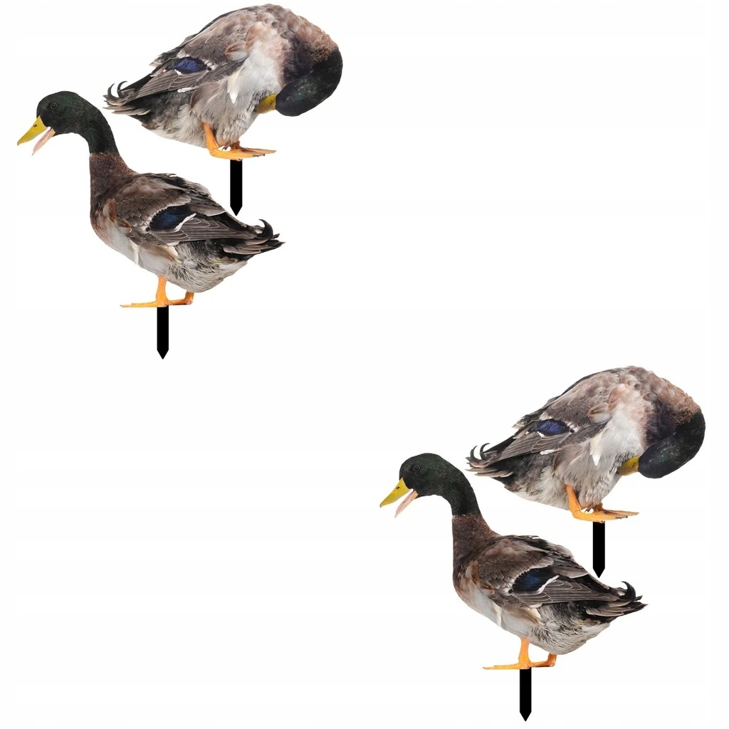 Outdoor Decoration Garden Insert Duck Sign 4 Pcs - 13731428051 ...