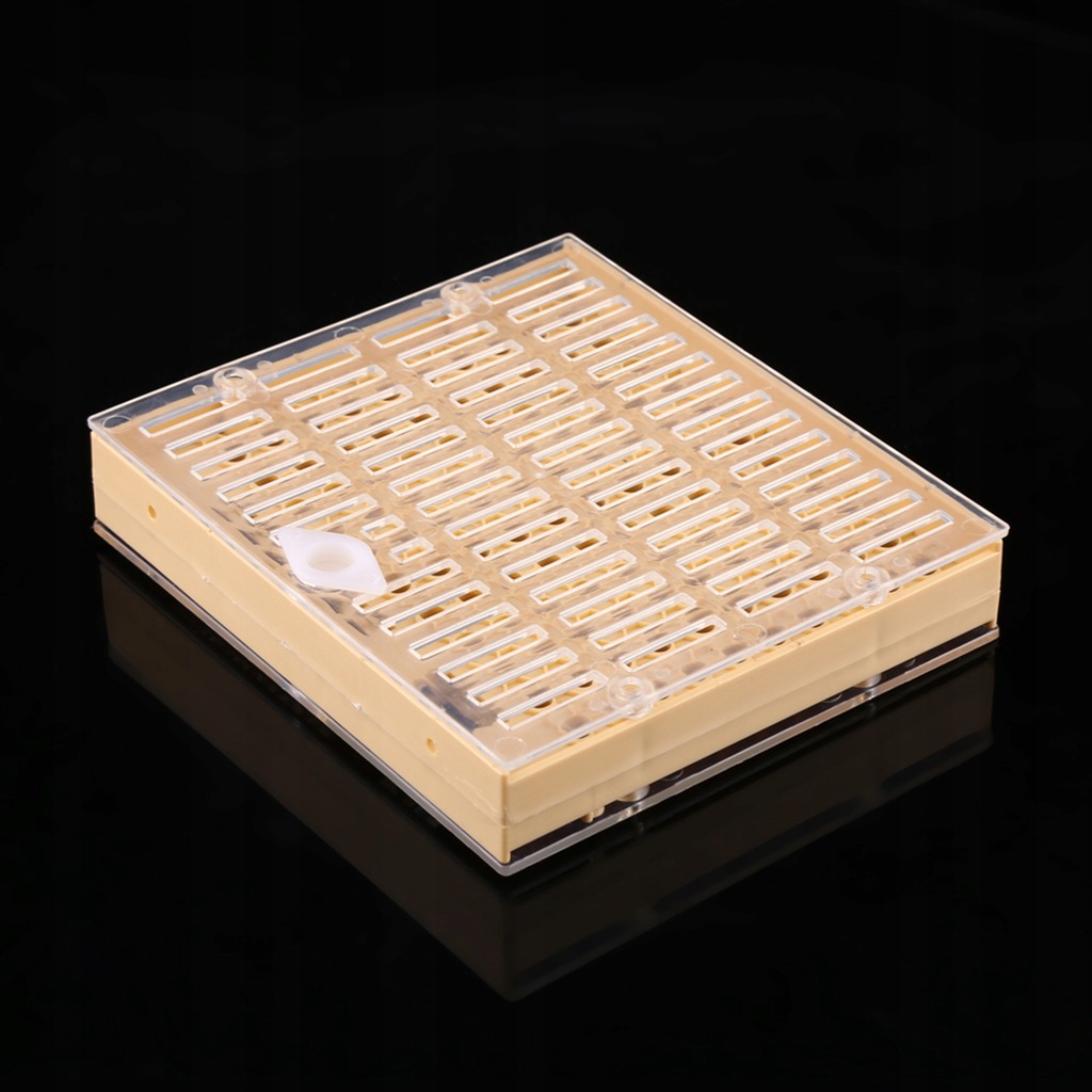 Pszczelarstwo Królowa Hodowli Kubki Box Cell Bar - 13226162498 ...