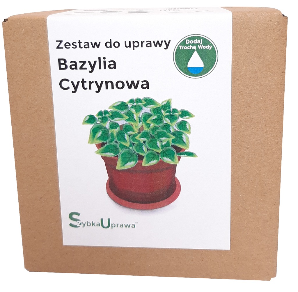 Zestaw do Uprawy Bazylia Cytrynowa z podstawką - 10131406066 ... Zestaw do Uprawy Bazylia Cytrynowa z podstawką - 10131406066 ...