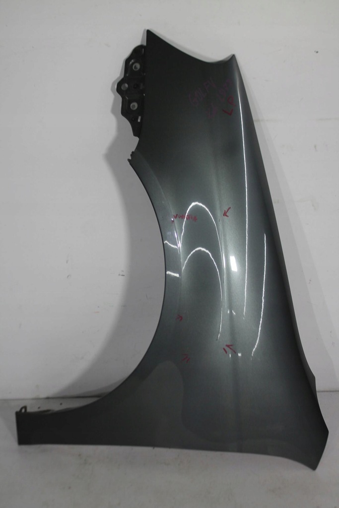 BŁOTNIK LEWY PRZÓD VW GOLF V KOMBI LD7X 07-09 - 11504769751 - oficjalne ...