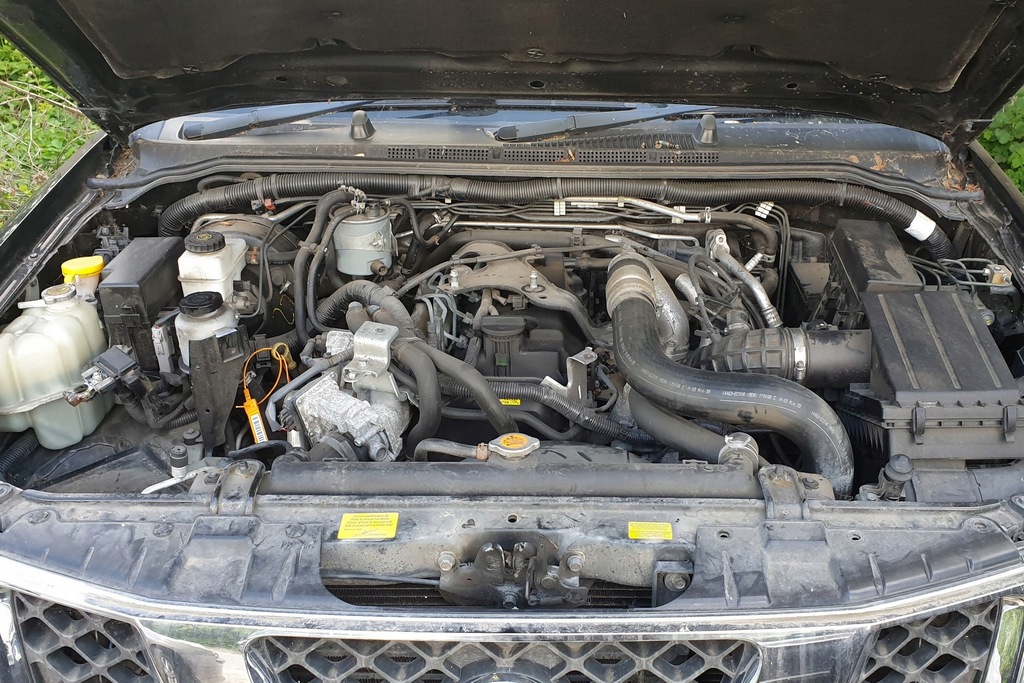 SILNIK DIESEL NISSAN NAVARA D40 YD25DDTi 2.5 DCi - 8612665819 ...