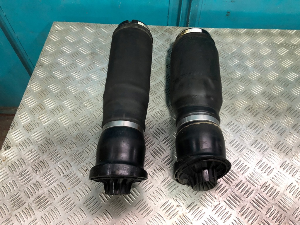 A2513200425 MIECH PODUSZKA AIRMATIC W251 R KLASA - 7563763507 ...