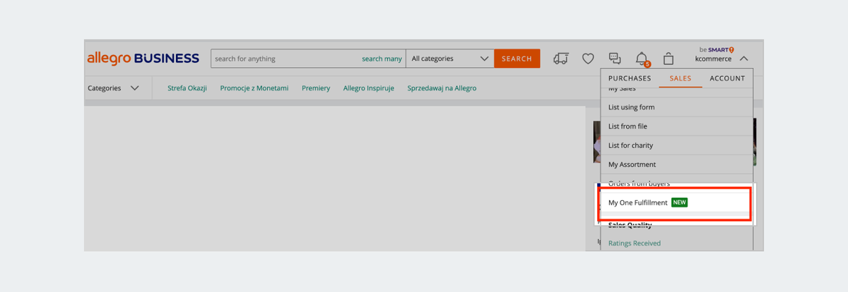Allegro官方仓One Fulfillment账户使用指南 - 在波兰Allegro上销售 - 帮助中心 - Allegro.pl